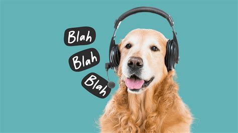 Stop Listening To Random Calls How Smart Teams Automate Phone Qa