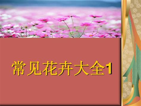 常见花卉大全1word文档在线阅读与下载无忧文档