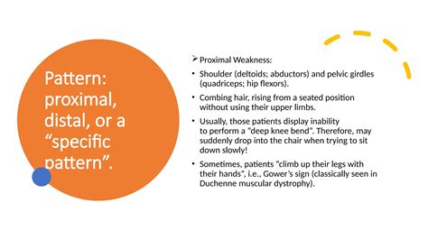 Limb Weakness Part Ii Spinal Cord To Muscles Ppt