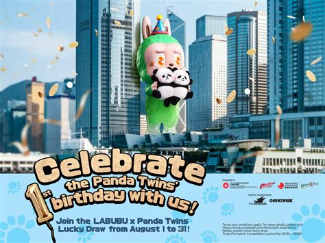 Panda Party Countdown Celebrate The Panda Twins 1st Birthday Hong