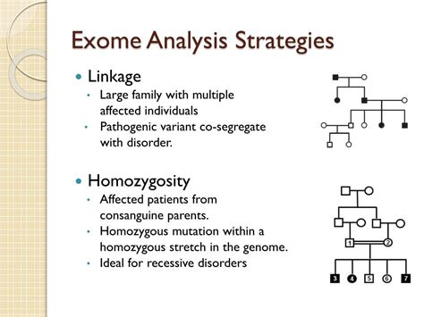 Ppt Exome Sequencing As Molecular Diagnostic Tool Of Mendelian