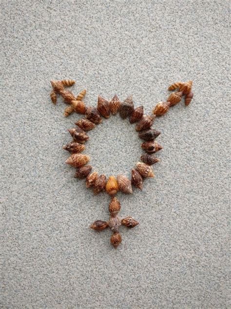 Sex Sign For Transgender Created With Snail Shells Stock Image Image Of Islands Stroke 105799863