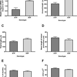 Sex chromosome complement determines the mRNA expression of ERα and ERβ Download Scientific