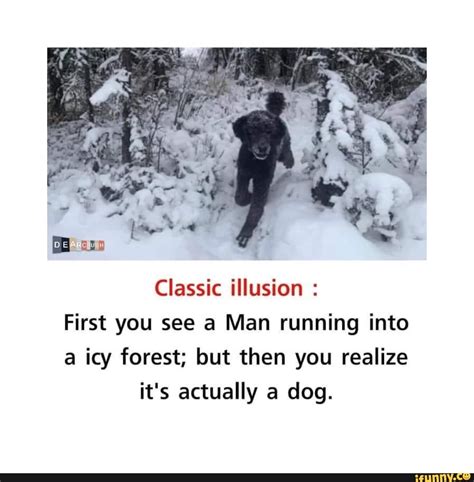 Classic Illusion First You See A Man Running Into A Icy Forest But