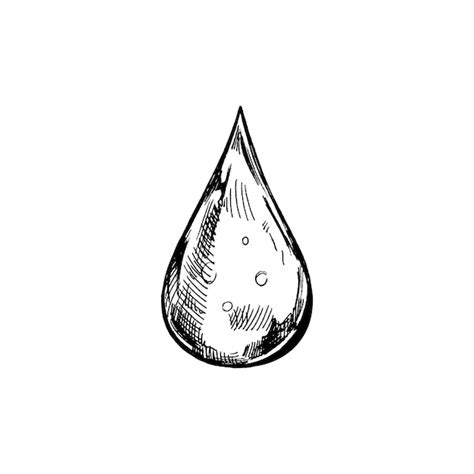 Handgezeichnete Schwarze Skizze Eines Wassertropfens Öko Konzept Vektor