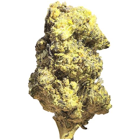 Sex Panther Thca Hemp Flower Pa Botanicals