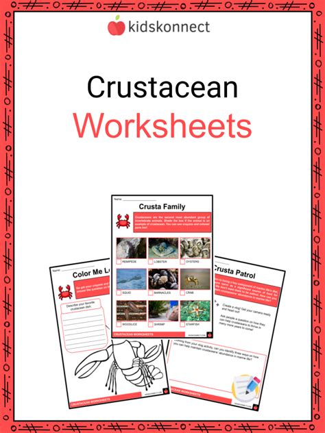 Crustacean Facts And Worksheets Taxonomy Species Features Dishes