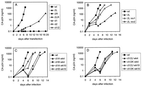 Replication Of Wild Type Wt Mutant And Revertant Hiv 1 Viruses A