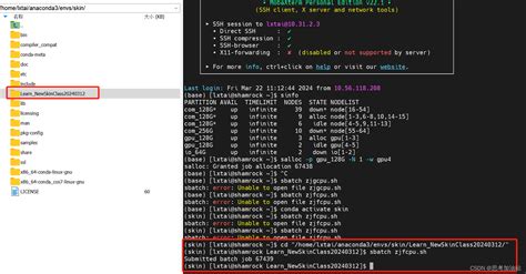 小白使用超算slurm作业调度系统提交作业（看完这篇就够了）超算脚本提交参数 Csdn博客