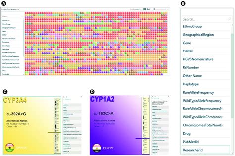 detailed presentation of findbase pgx features Α overview of the