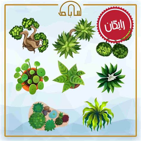 تصویر Png درخت از نمای بالا دانلود تصویر Png درخت از دید پرنده فروشگاه معماری ساباط