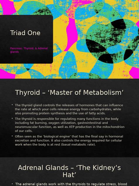 Triad One Pdf Pancreas Thyroid Stimulating Hormone