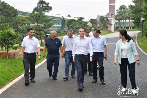 胡贺波调研第二届湖南花卉苗木博览会筹备工作 新湖南客户端 新湖南