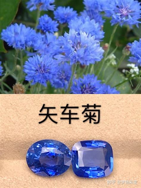 如何快速的辨别皇家蓝和矢车菊蓝宝石 知乎