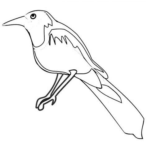 Раскраски Птицы Сорока 70 фото