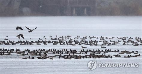 겨울 보내러 왔어요