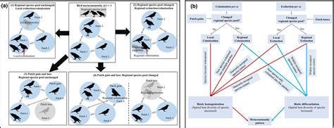 A Four Basic Types Of Processes In Metacommunity Temporal Dynamics