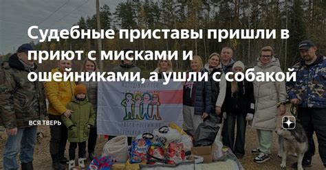 Судебные приставы пришли в приют с мисками и ошейниками а ушли с собакой Вся ТВЕРЬ Дзен