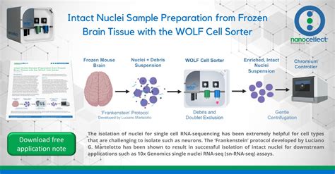 Nanocellect Biomedical Inc On Linkedin Intact Nuclei Sample