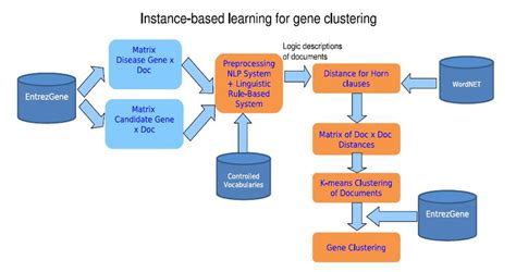 Instance Based Learning For Gene Clustering On First Order Descriptions