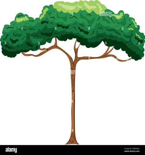 Tree Vector Design Stock Vector Image Art Alamy