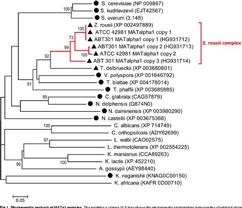 Table 1 From Chimeric Sex Determining Chromosomal Regions And Dysregulation Of Cell Type