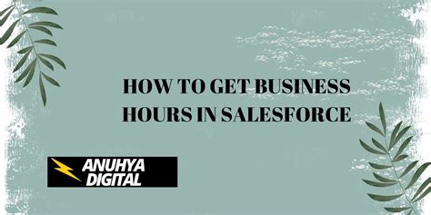 How To Get Business Hours In Salesforce Learn Salesforce With Anuhya Digital