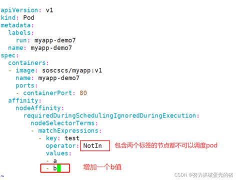 K8s 集群调度 Csdn博客