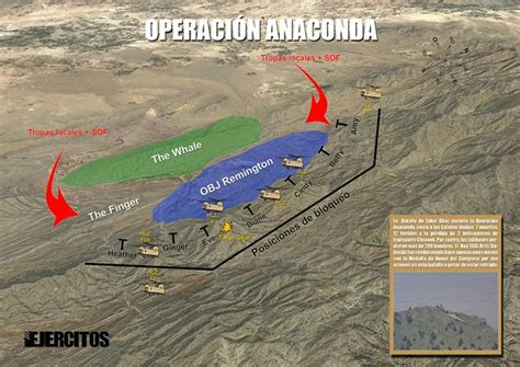 Operación Anaconda Ii Ejércitos