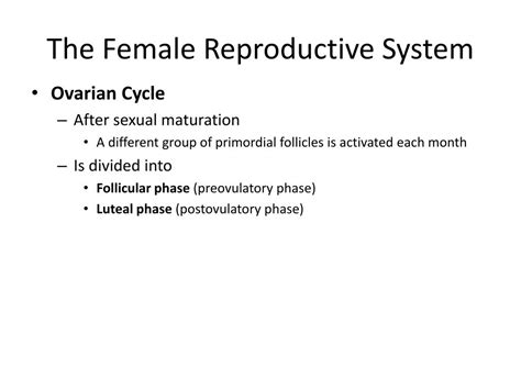 Ppt Male Reproductive Functions Powerpoint Presentation Free