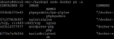 워드프레스 Maria Db 수동 백업하기 Dorulog