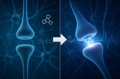 Neurotransmitters Sending Chemical Signals Across Synapses Brain Activity Neural Network