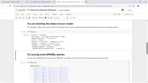 working with aws neptune graph databases
