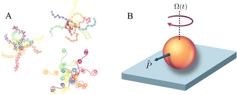 A Typical Trajectories For Chiral Particles With Oscillating Torque