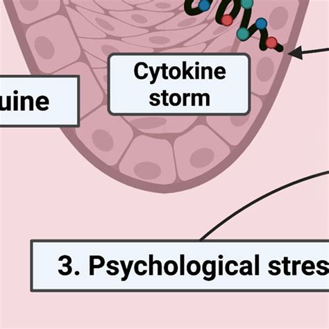 A Summary Of Cases Reporting Psoriasis Exacerbation Following
