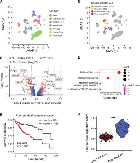 Hccdb V2 0 Decompose Expression Variations By Single Cell Rna Seq And Spatial Transcriptomics