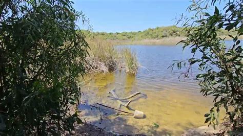 אגם ניצנים Youtube