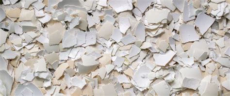 Broken Shells Of Chicken Eggs Stock Image Image Of Ingredient White 275544217