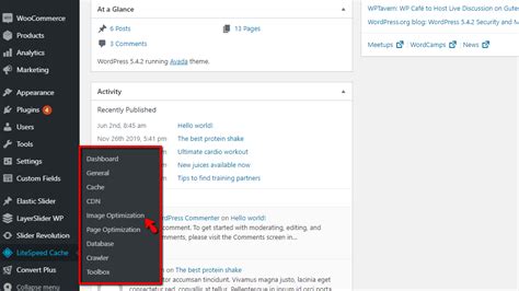Configuring The Image Optimization In WordPress LiteSpeed Cache Plugin