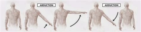 Crossfit Movement About Joints Part 1 The Shoulder