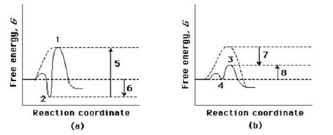 Biochem Exam 2 Unit 6 Practice Problems Flashcards Quizlet