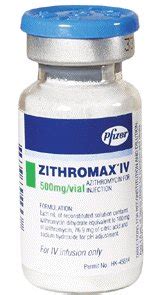 Zithromax Azithromycin Preservative Free 500 Mg 10 Ml Intravenous