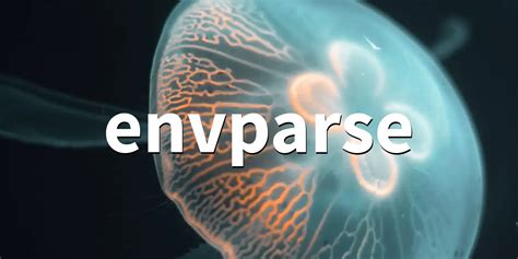 Envparse 020 Simple Environment Variable Parsing