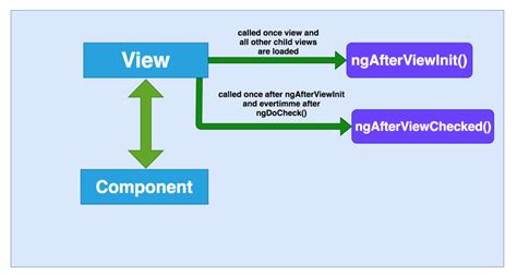 Angular — Understanding Angular Lifecycle Hooks With A Sample Project