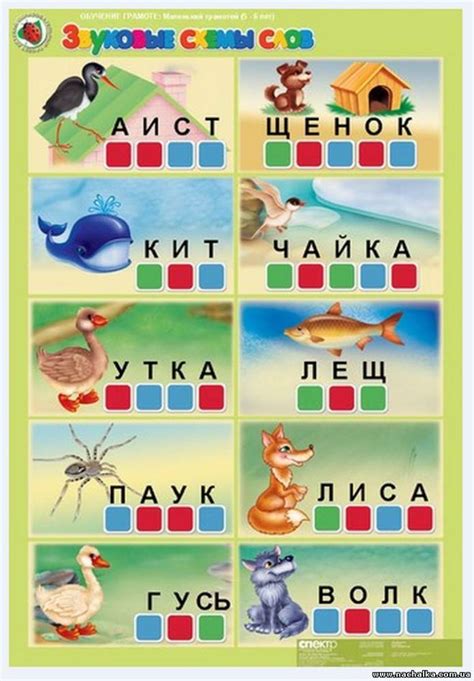 Задания на составление звуковых схем слов 1 класс фото