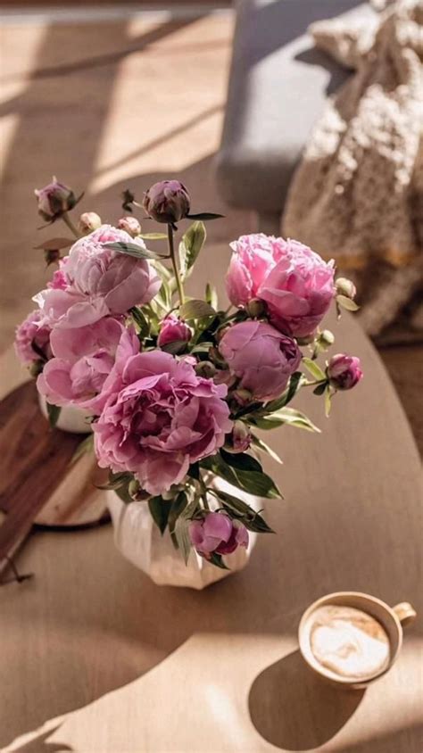 Ayan Z Creation Pins By You