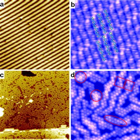 Scanning Tunneling Microscopy And Photoelectron Spectroscopy Investigation Of The Sexithiophene