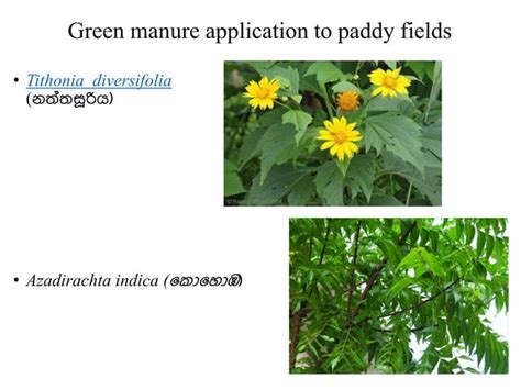 Indigenous Knowledge Systems 5 Pdf