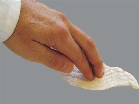 Unpacking The Frictionless Skin Fascia Interface Fascia And Fitness