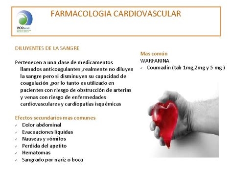 Farmacologia Cardiovascular Algunas De Las Funciones De Estos
